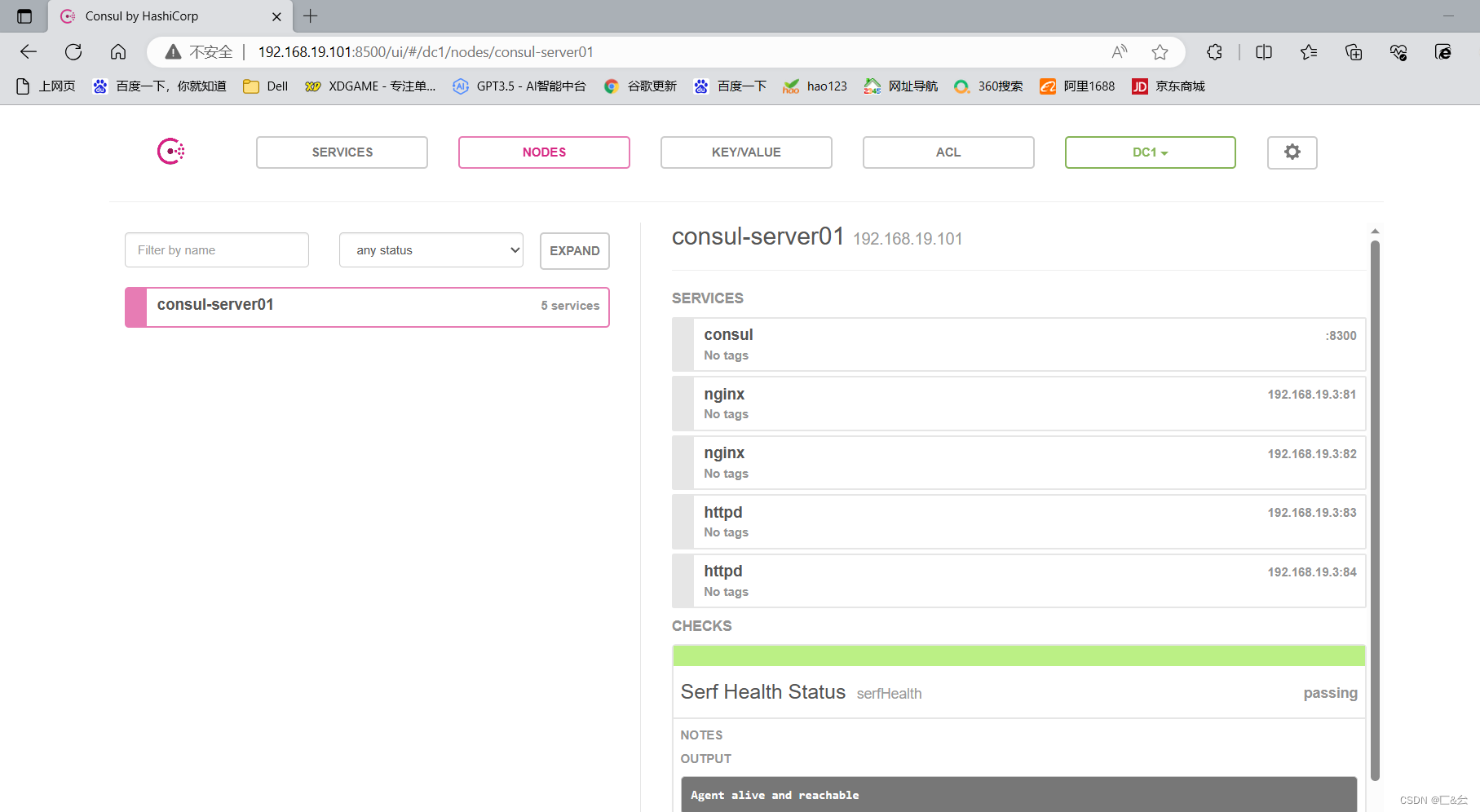 docker之Consul环境的部署_docker 安装consul-CSDN博客