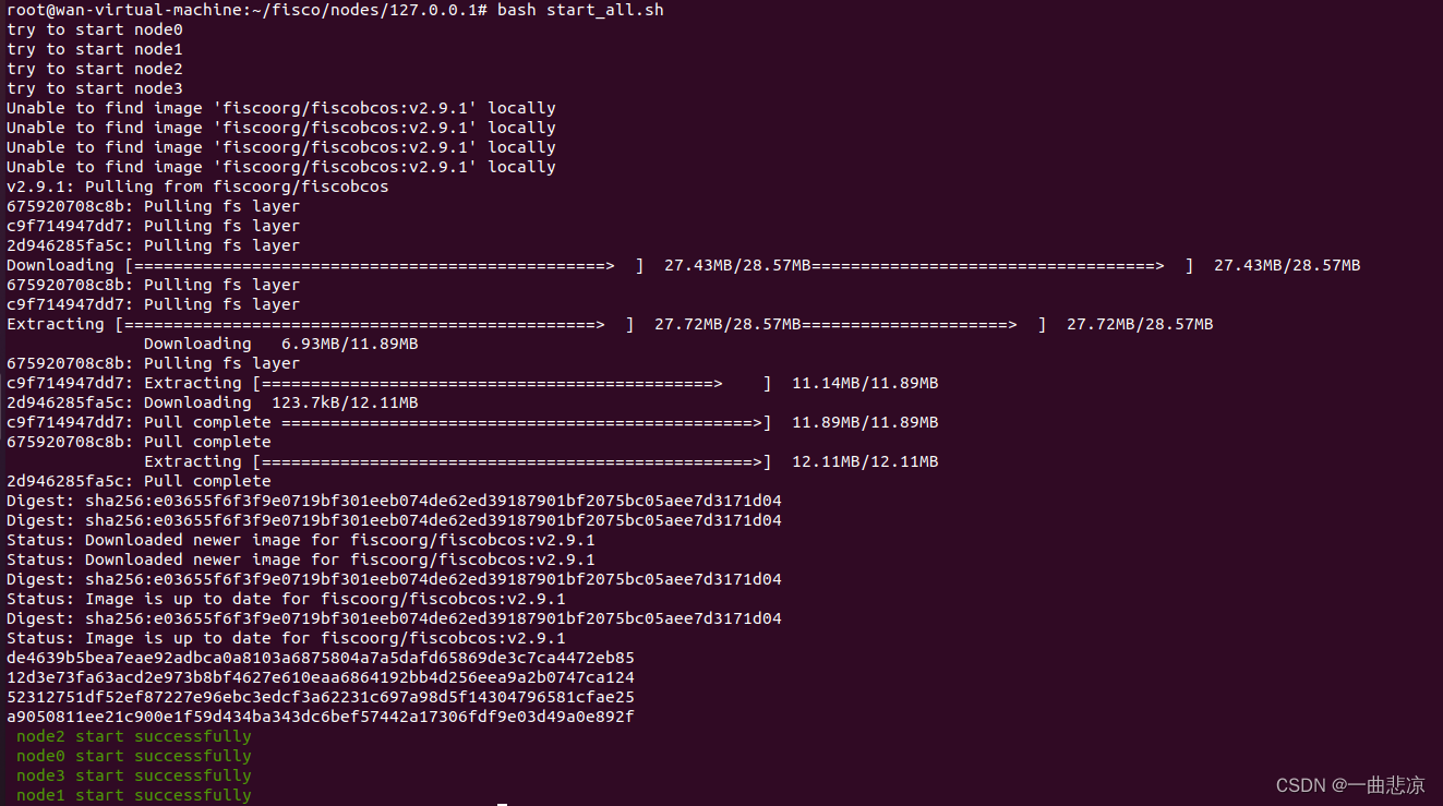 FISCO-BCOS使用Docker部署区块链_docker 区块链完整系统-CSDN博客