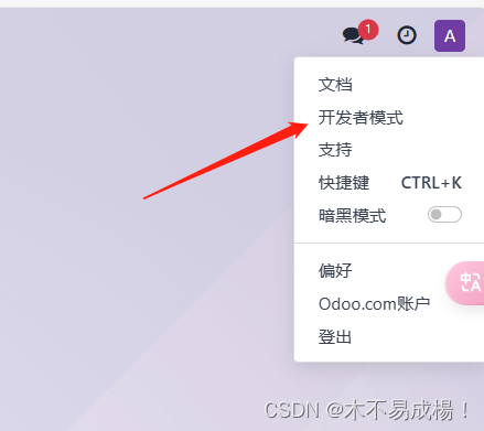odoo 一日一技 owl Registry示例 在用户菜单增加开发者模式开关_registry odoo-CSDN博客