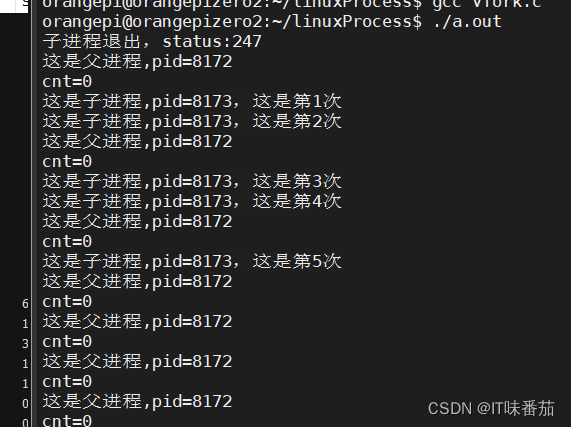 Linux系统编程-进程_getpid()-CSDN博客