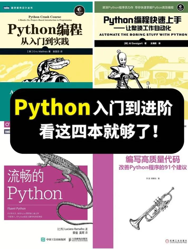 Python学到什么程度算入门python从入门到精通好吗 Csdn博客