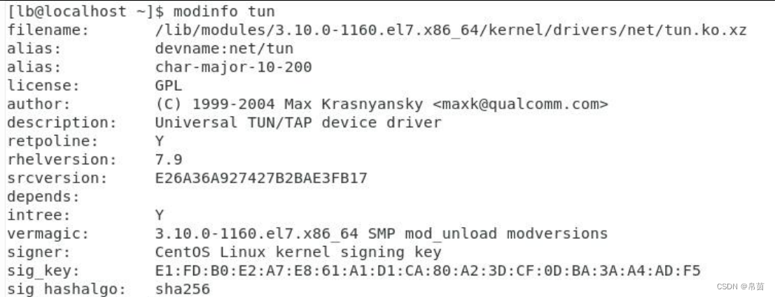 计算机网络实验_ip netns exec-CSDN博客