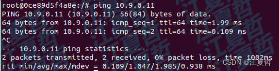 V*N Lab: The Container Version_v*n lab: the container version(seed labs)-CSDN博客