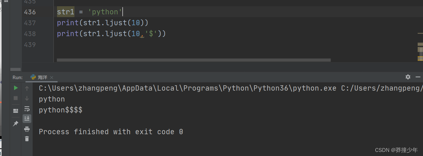 字符串对齐与格式化：rjust, ljust, center-CSDN博客