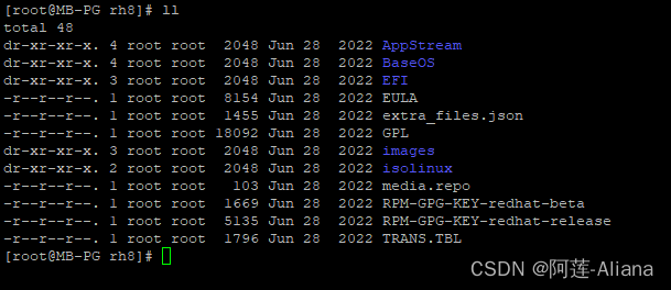 RedHat Linux 8版本-本地yum源配置_linux redhat8.0之yum-CSDN博客