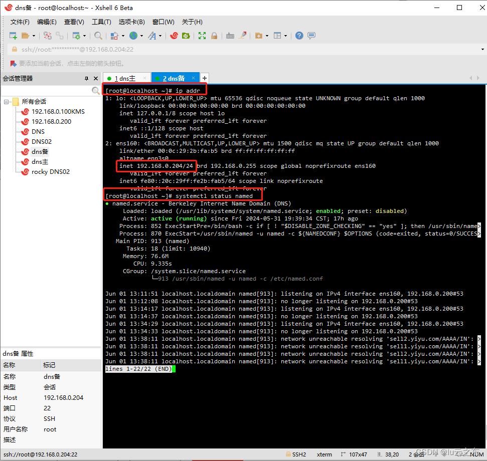 Rocky linux 搭建DNS主从服务器+keepalived实现高可用_keepalived dns-CSDN博客