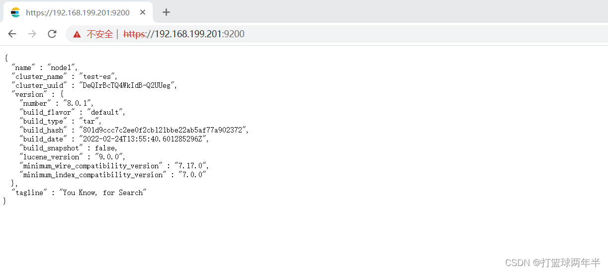 搭建Elasticsearch8.0集群_es8.0-CSDN博客