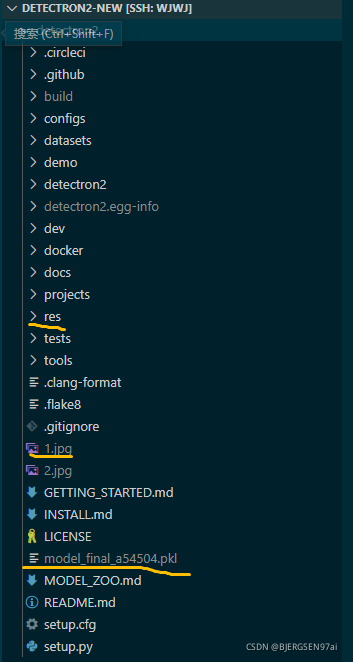linux：detectron2环境配置并测试_如何测试detectron2是否配置成功-CSDN博客