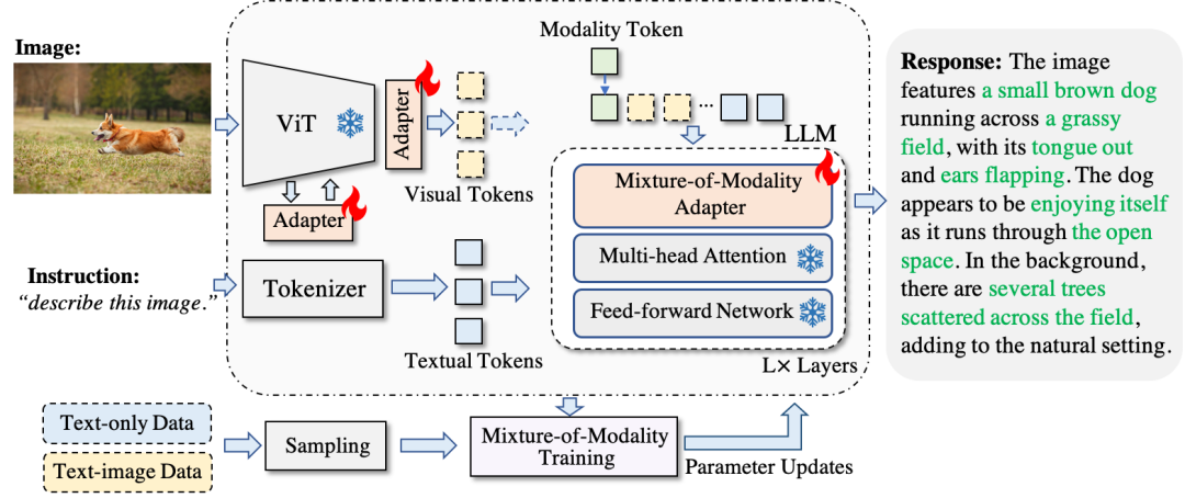 LaVIN-lite：单张消费级显卡微调多模态大模型-CSDN博客