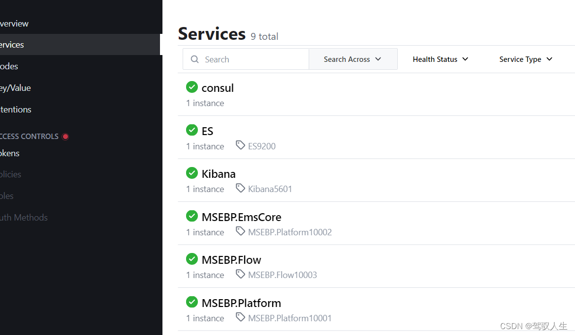 Docker方式安装Consul配置中心_docker安装consul-CSDN博客
