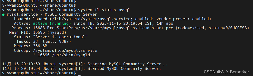 MySQL-CSDN博客