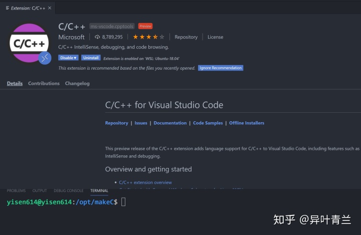 vscode 头文件包含问题_WSL+VSCode = Linux ?-CSDN博客