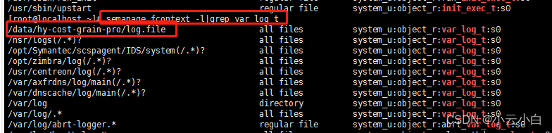 Rocky（centos） jar 注册成服务，能开机自启动_centos 注册服务-CSDN博客