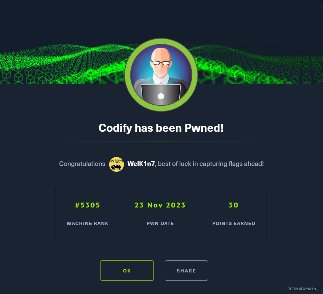 【渗透测试】Codify - HackTheBox，Node.js沙盒_codify hack the box-CSDN博客