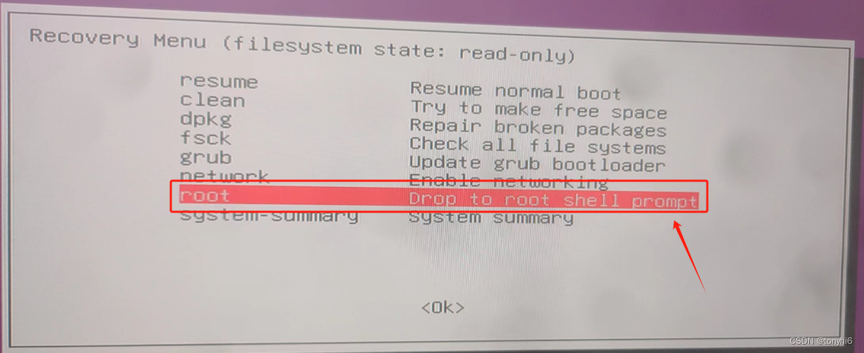 Ubuntu server 24 (Linux) 普通用户不能sudo 也不能使用root登录 忘记root密码 修复解决方案_ubuntu24 root-CSDN博客