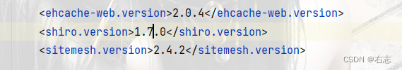 maven下载shiro1.10.0出现下载不了_下载不了`org.apache.shiro:shiro-core:1.3.2`。-CSDN博客