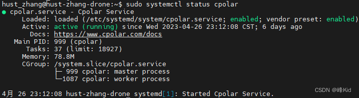 VSCODE远程ssh调试linux+cpolar内网穿透_cpolar ssh-CSDN博客