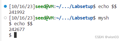 网络攻防技术—shellcode编写实验_task 1.d. providing environment variables for exec ...