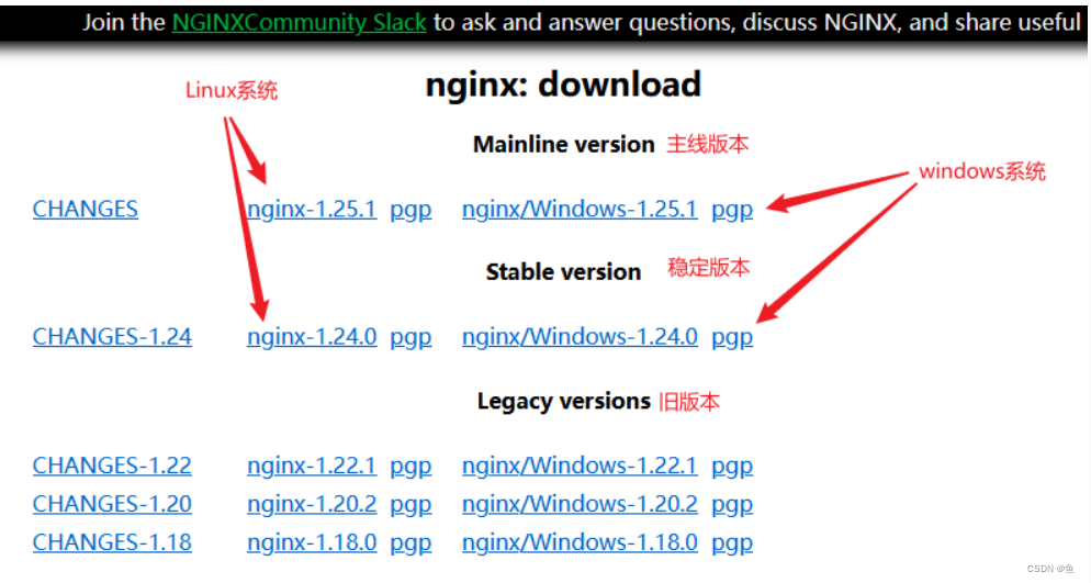 Nginx_nginx.exe是什么程序-CSDN博客