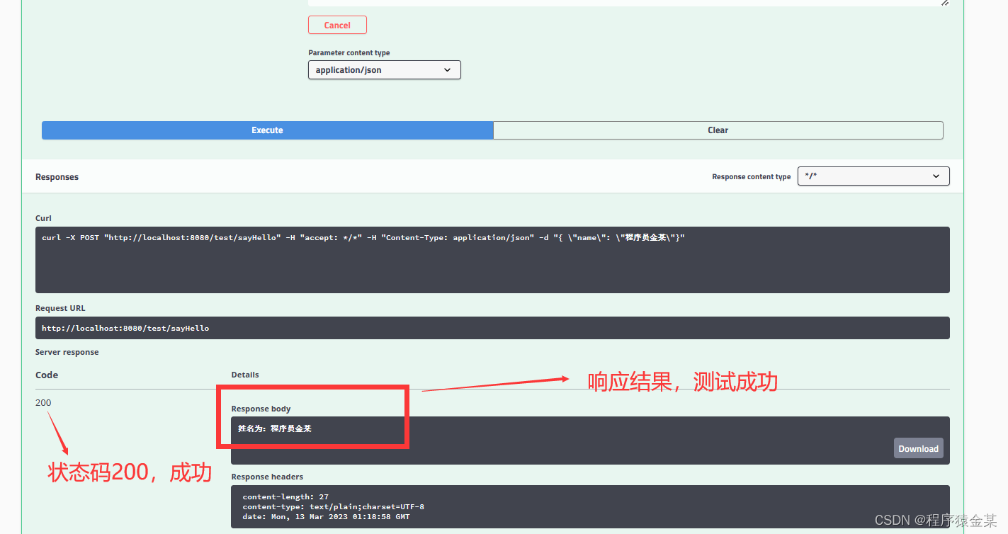 使用Swagger配置后端验证功能_requestbody如何使用swagger测试-CSDN博客