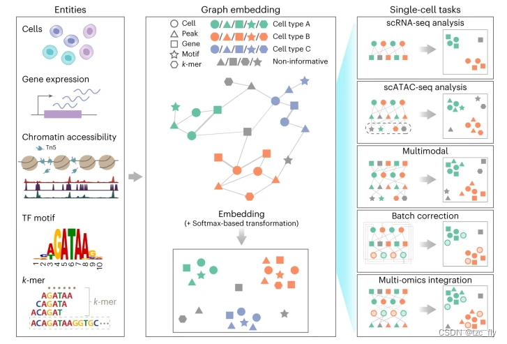 2.基于Python的单细胞转录组数据处理-批次整合_scanvi单细胞-CSDN博客