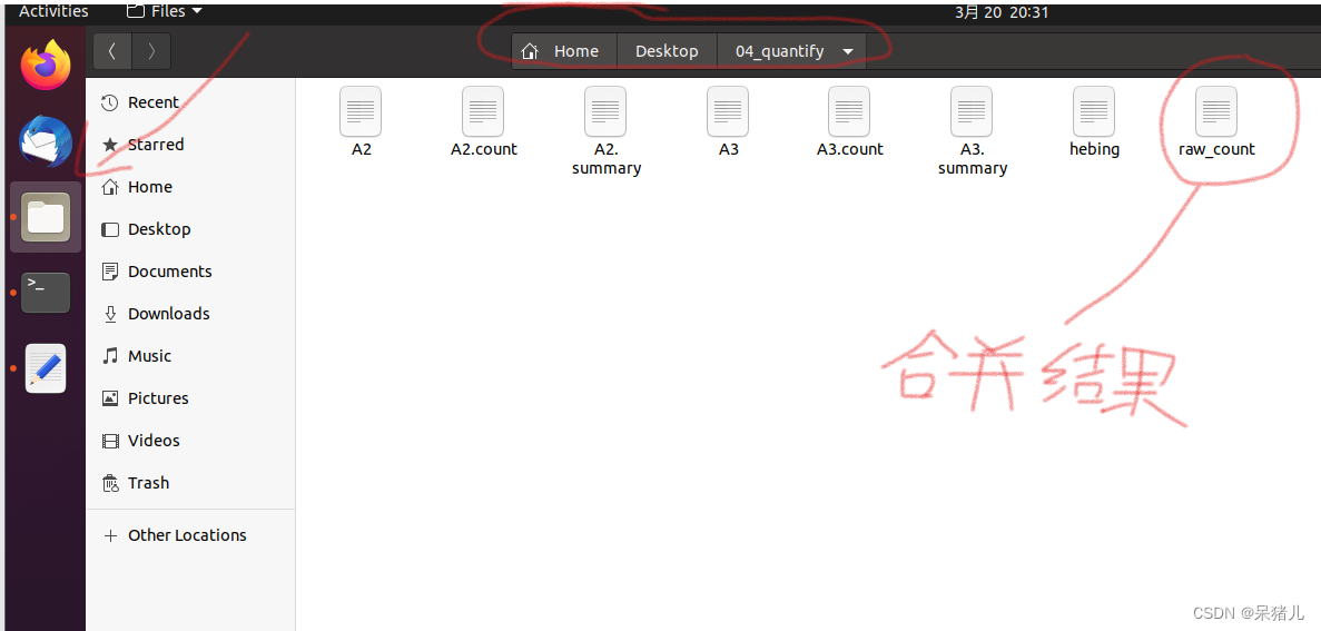零基础入门转录组上游分析——第五章（表达定量）_--countreadpairs-CSDN博客