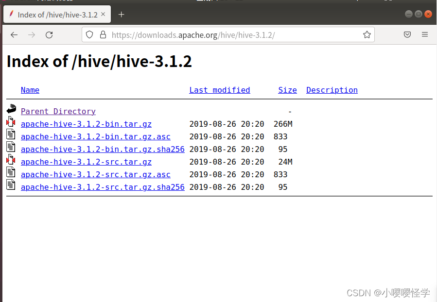 大数据技术之Hive的安装和基本操作（三）_(1)hive的安装; (2)hive的基本操作; (3)hive的应用实例——词频统计。-CSDN博客