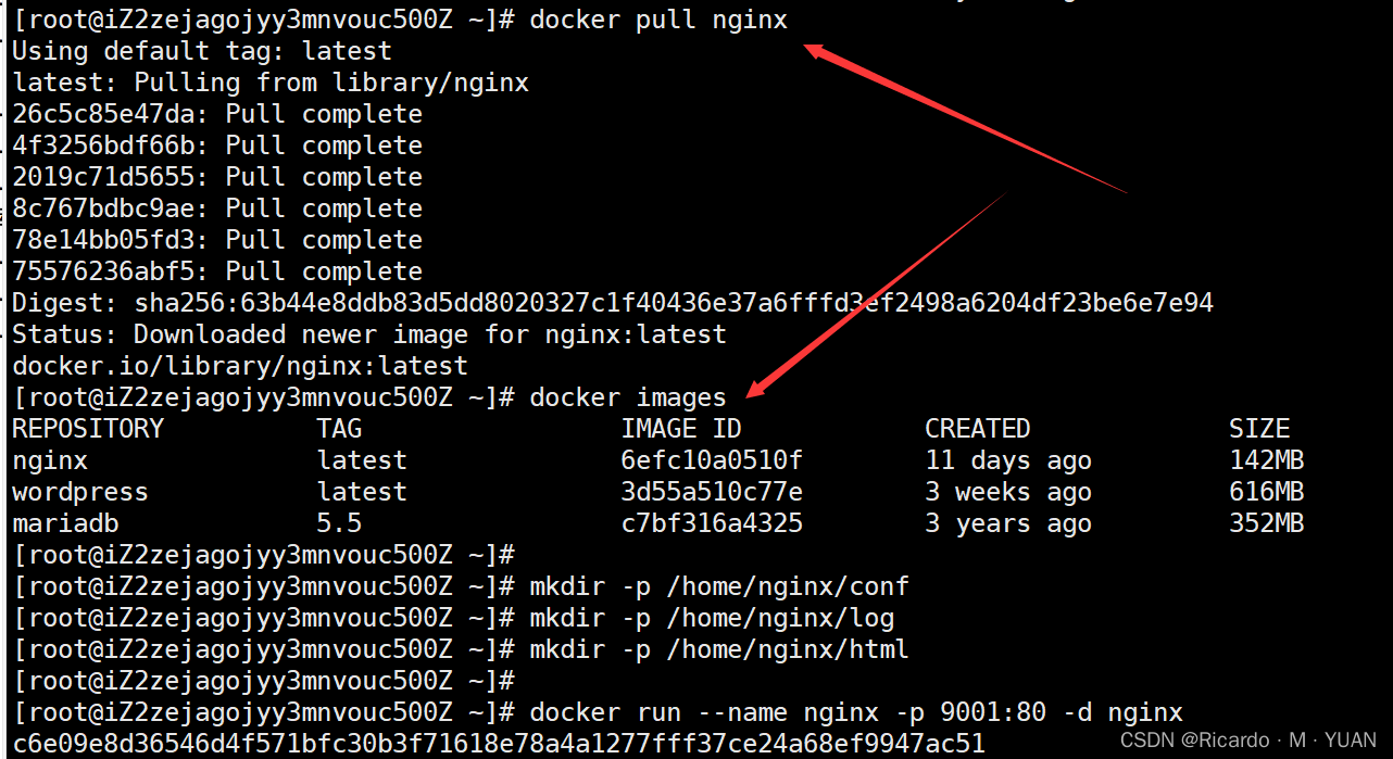 Docker安装Nginx（图文详解版）_docker安装nginx详解-CSDN博客