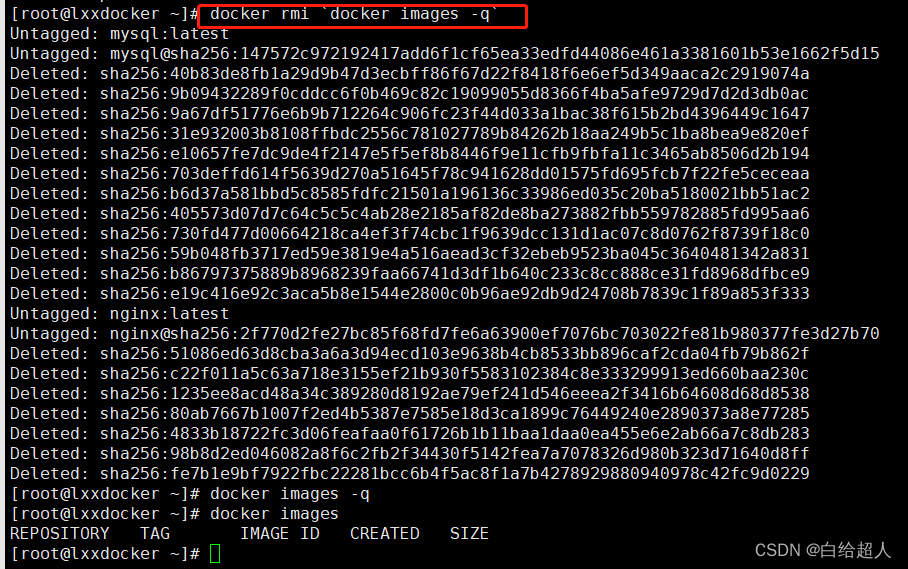 【docker】docker的基础命令_ydqit-CSDN博客