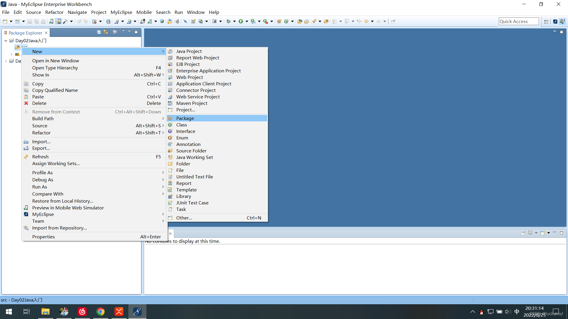 MyEclipse Java开发指南-CSDN博客