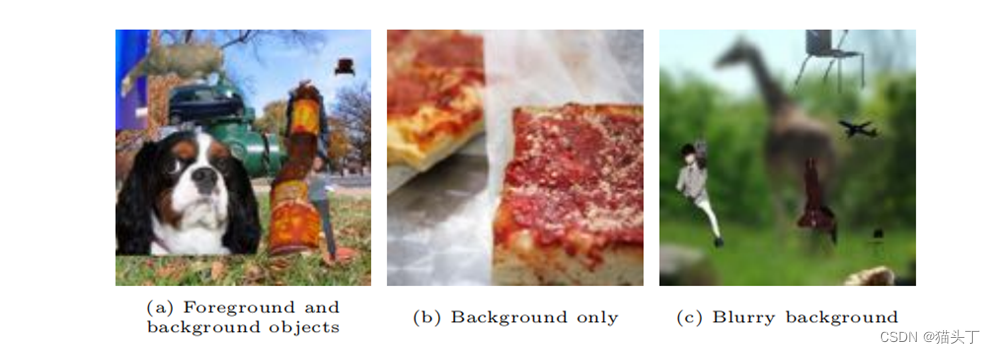 【菜鸡读论文】Learning-based Video Motion Magnification-CSDN博客