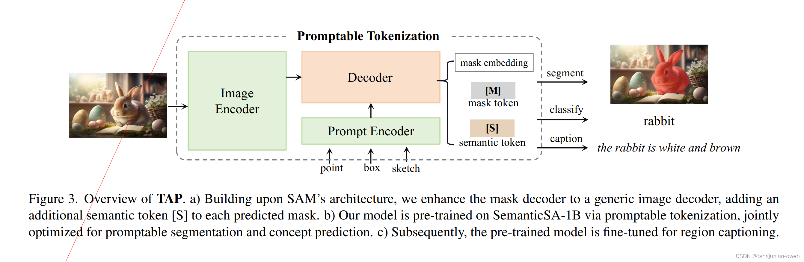 Tokenize Anything via Prompting论文解读-CSDN博客