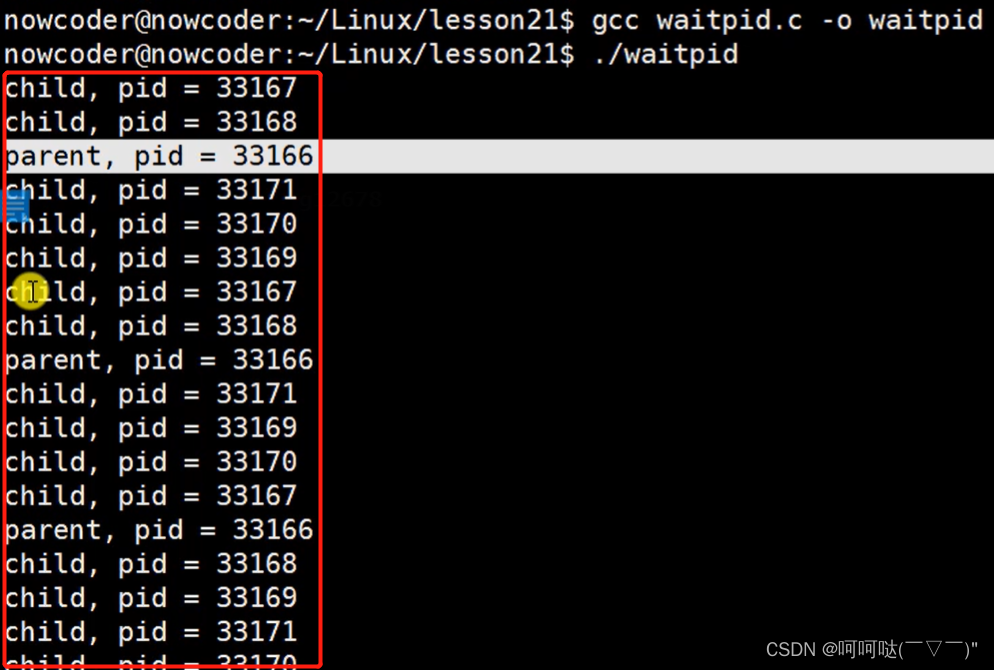 基于linux下的高并发服务器开发（第二章）- 2.9 waitpid 函数-CSDN博客