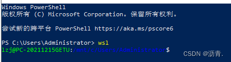 WSL2启动xfce4端口被占用解决方法_x server already running on display-CSDN博客
