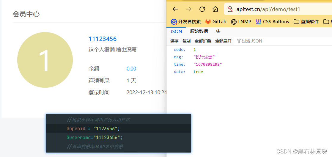 12月13日：跟着猫叔写代码，fastadmin中Api相关只是_fastadmin api-CSDN博客
