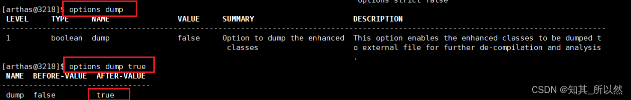 arthas命令详解二（dump、classloader、monitor、watch、trace、stack、tt、options、profile等使用）_arthas watch-CSDN博客