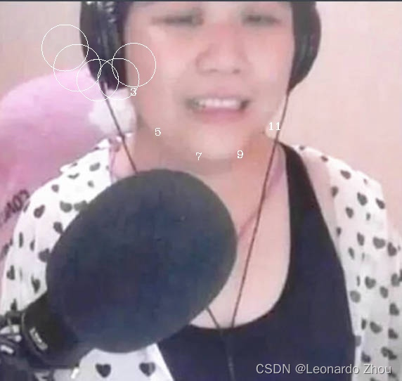 opencv使用cv2.circle画圆位置错误_cv2.circle画的点数量不对-CSDN博客