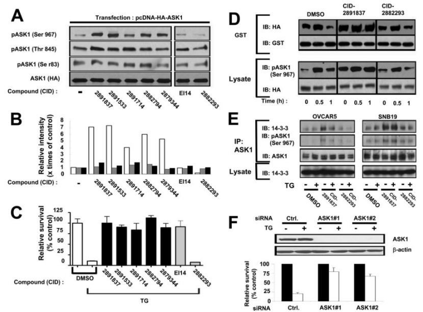 AbMole| 揭示调节 ASK1 抑制性磷酸化新机制_ask1机制通路-CSDN博客