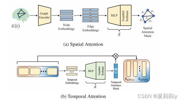 [论文精读]DynBrainGNN: Towards Spatio-Temporal Interpretable Graph Neural Network Based on Dynamic ...
