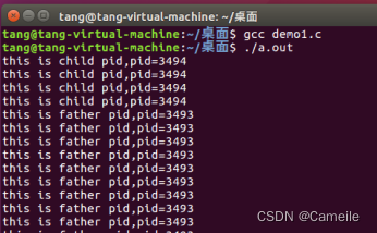 努力学习Day23【Linux进程部分】-CSDN博客