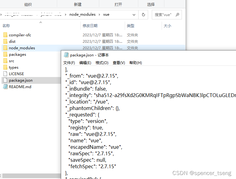 Module build failed : Error : Vue packages version mismatch:_module build failed: error: vue ...