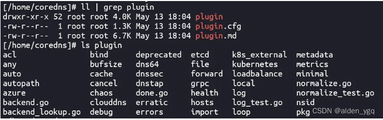 CoreDNS实战(四)-编译安装External Plugins_externalsplugin-CSDN博客