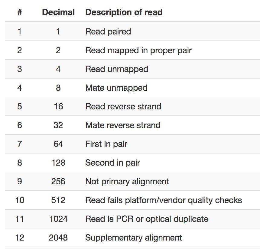 linux怎么查看一个bam文件,生信分析过程中这些常见文件的格式以及查看方式你都知道吗？...-CSDN博客