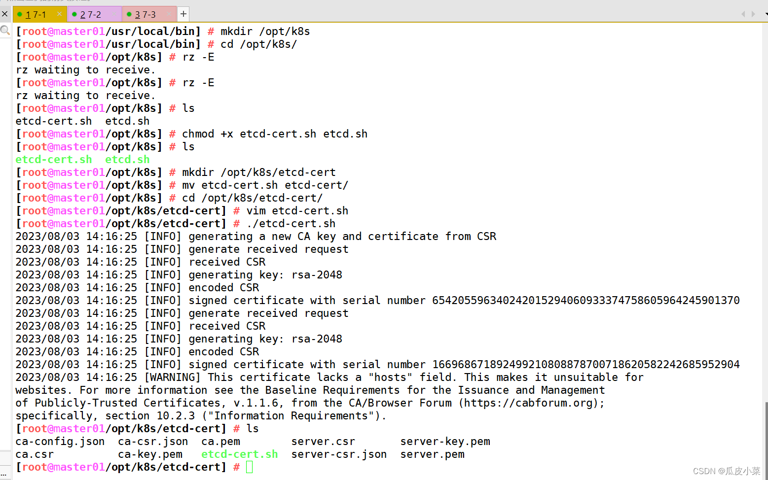 【云原生K8s】二进制部署单master K8s+etcd集群_etcd 3.4.9-CSDN博客