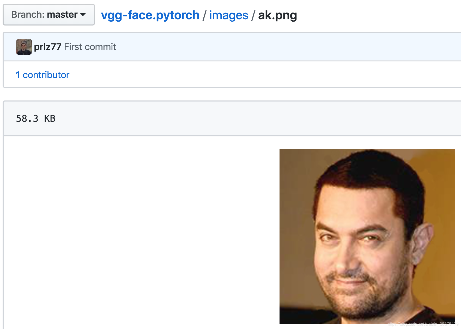 VGG Face Descriptor-CSDN博客