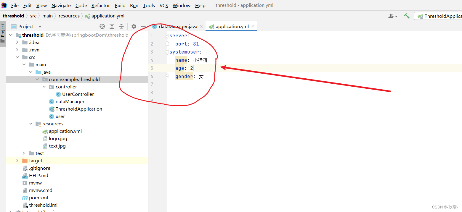 java boot将一组yml配置信息装配在一个对象中_java yml撖寡情-CSDN博客