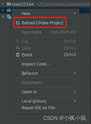 CLion使用技巧-CSDN博客