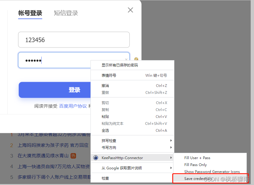 密码管理工具-KeePass使用教程-CSDN博客