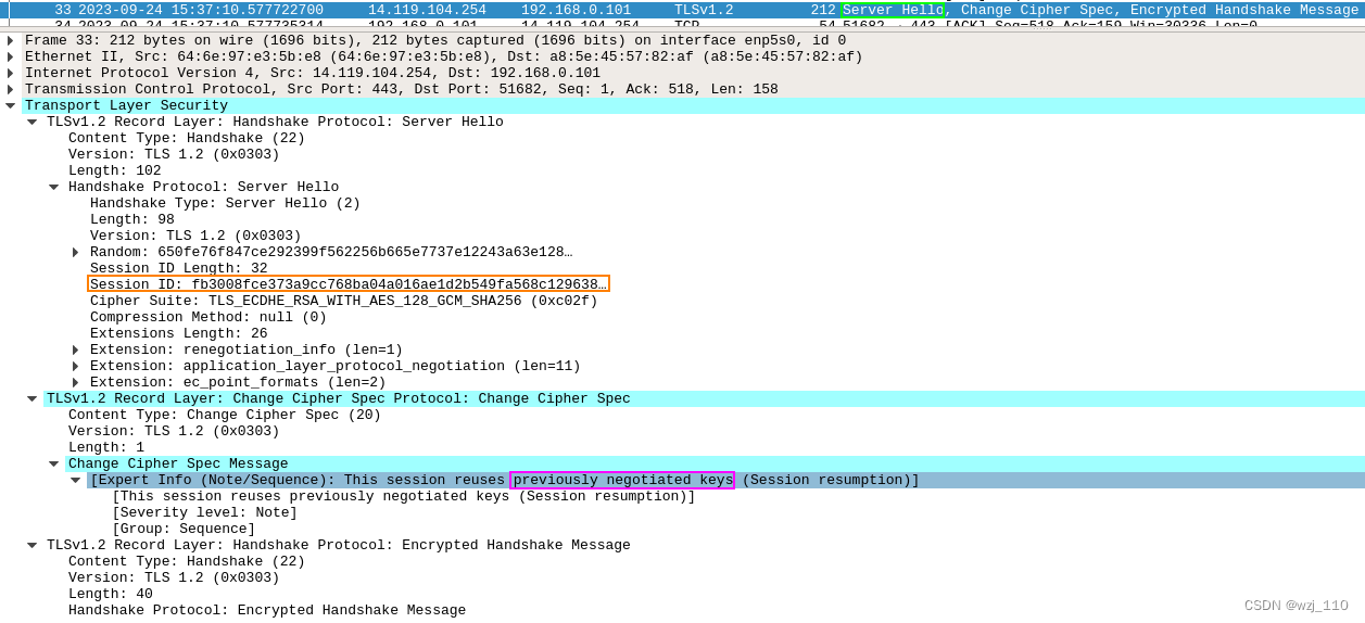 TLS/SSL(十) session缓存、ticket 票据、TLS 1.3的0-RTT_tls session ticket-CSDN博客