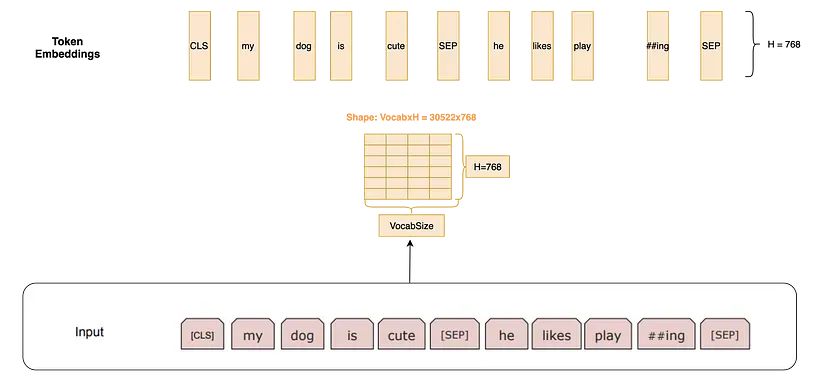 图解 Bert_bert流程图-CSDN博客